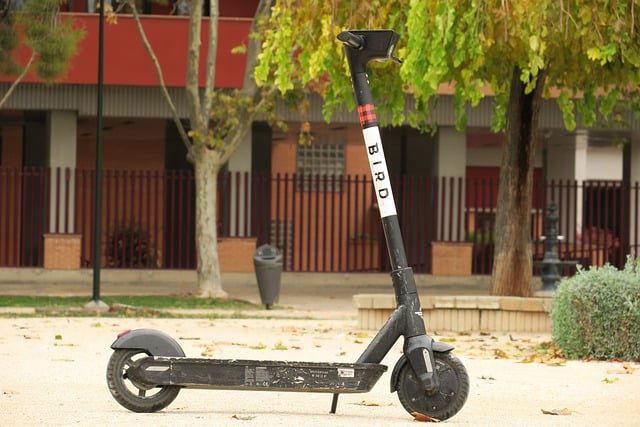 Coquitlam looks to pilot e-scooters – Tri-Cities Dispatch