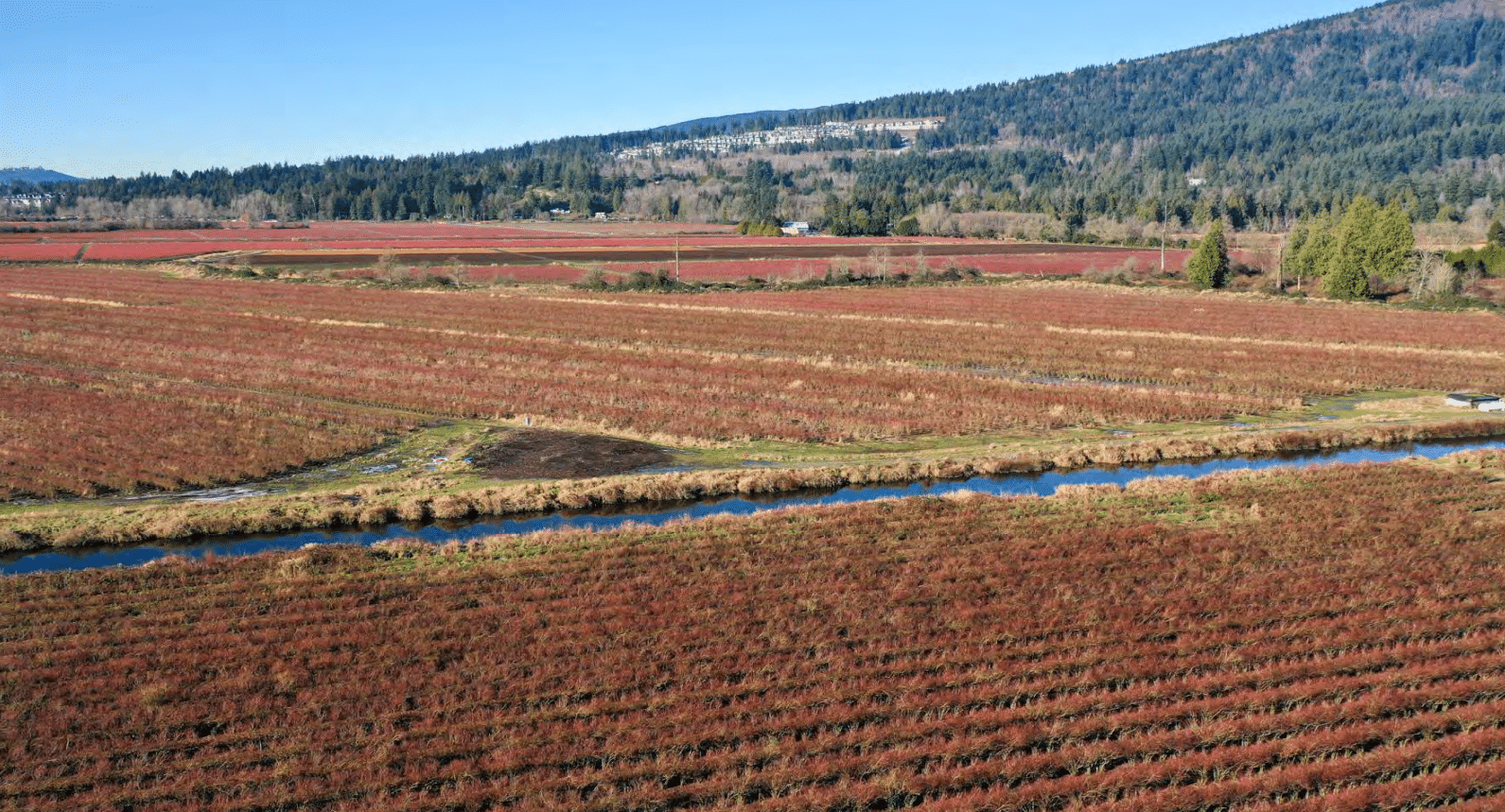 Minnekhada farmland owners pitch ditching Coquitlam Diking District to ...
