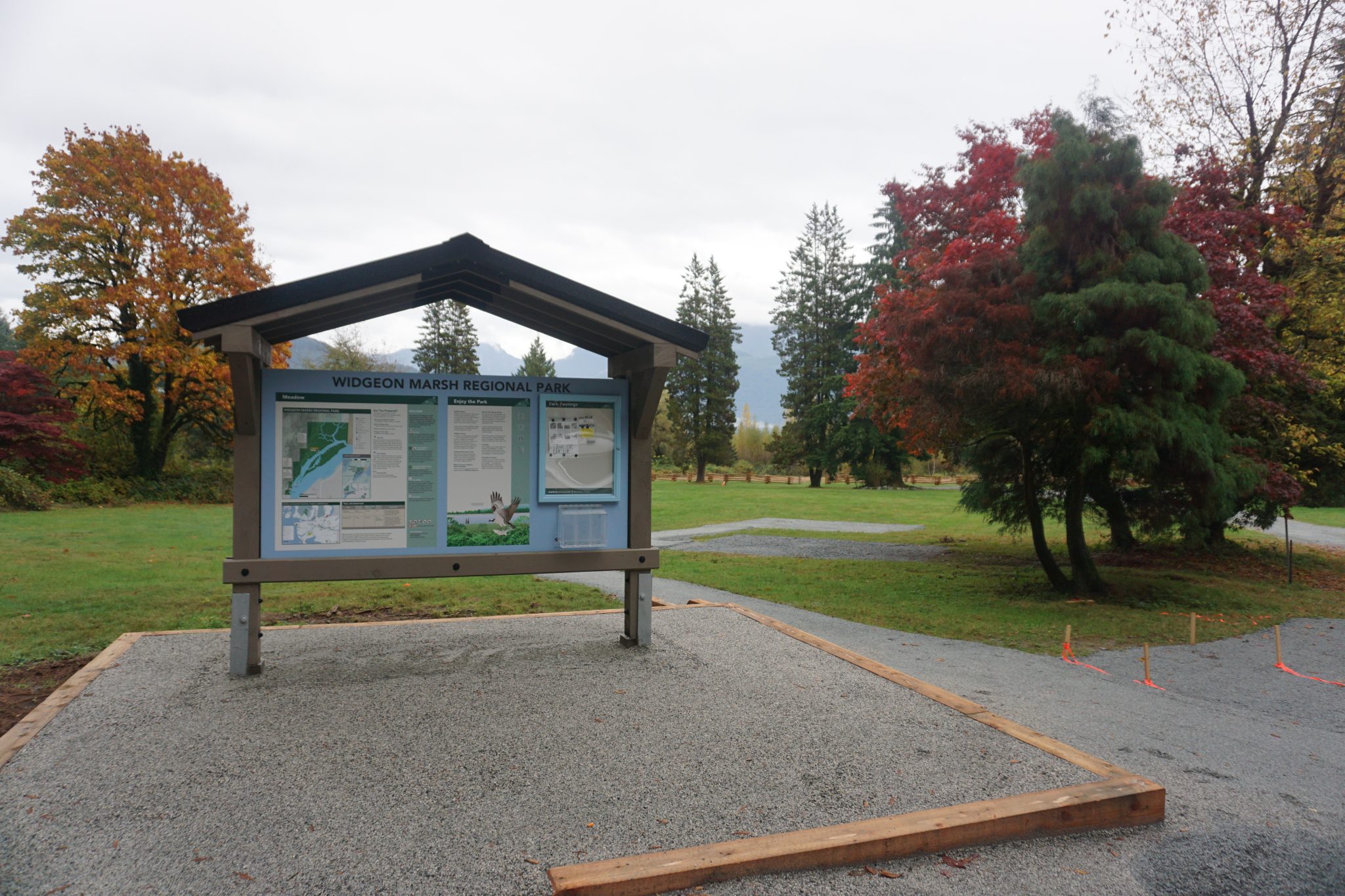 Long-protected Widgeon Marsh set to welcome visitors for the first time – Tri-Cities Dispatch